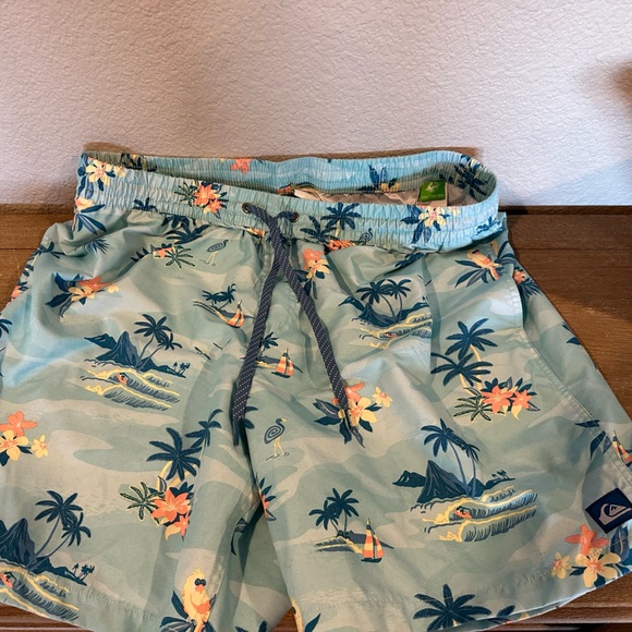 Quiksilver | Swim | Quiksilver Swim Shorts | Poshmark
